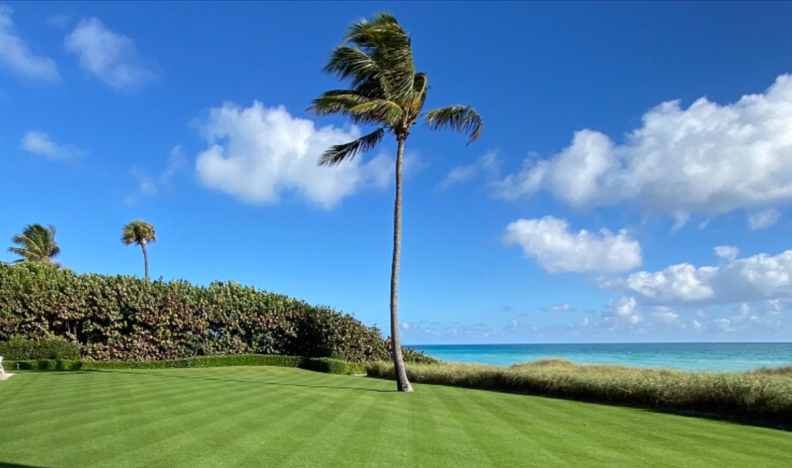 Sheehan Turf Care - Zoysia Bermuda Maintainence